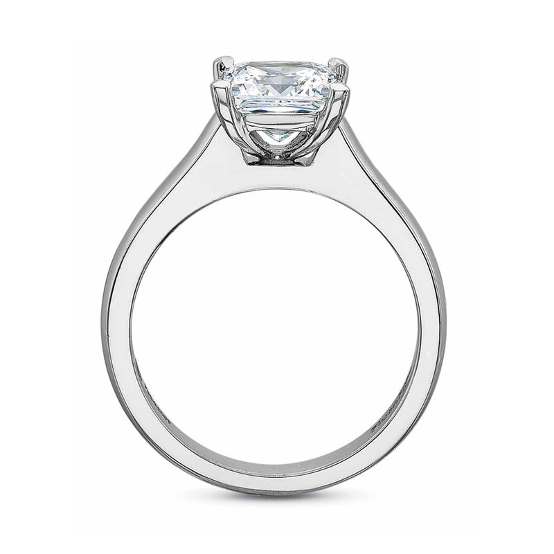 Precision Set - Smith and Bevill Jewelers