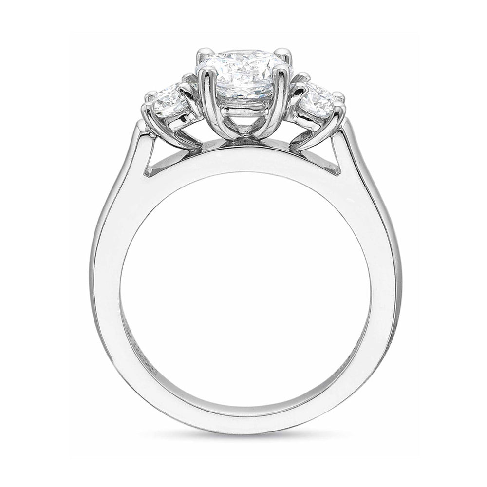 Precision Set - Smith and Bevill Jewelers